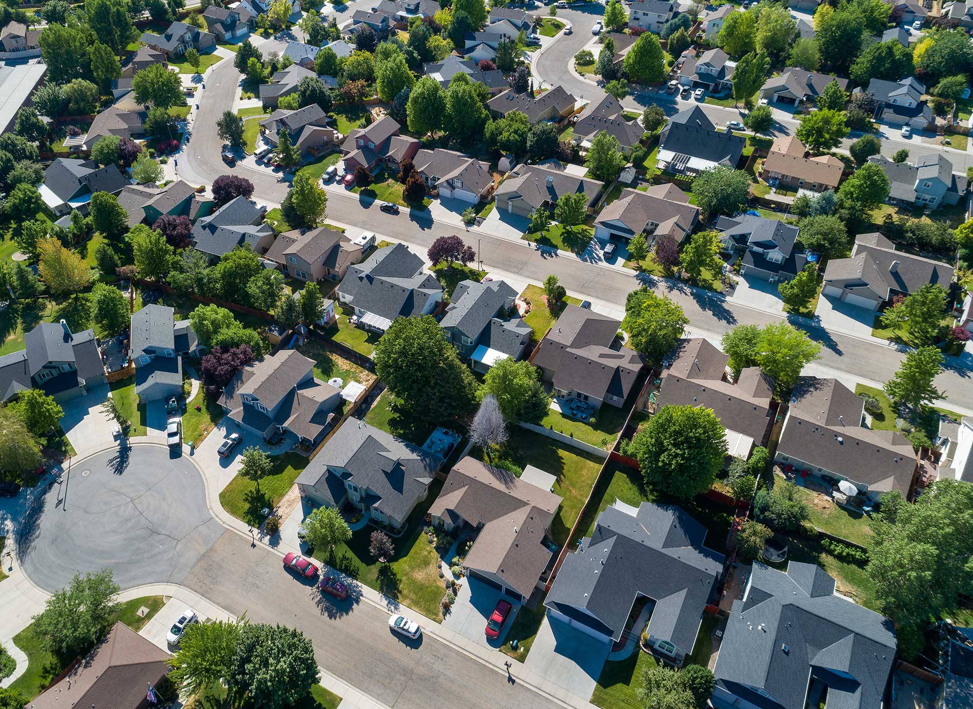 Why Trees are Essential to Urban Areas - Kelowna Tree Removal & Service ...